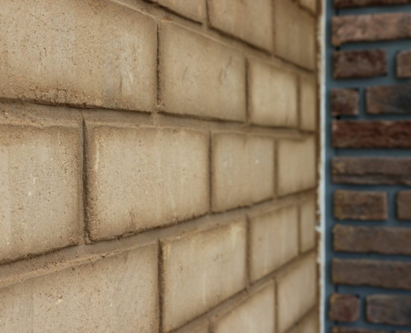 Biobased Boulevard - The Green Village